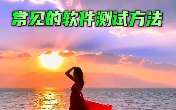 常见的软件测试方法