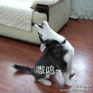 耿直的桑德曼Sandman 