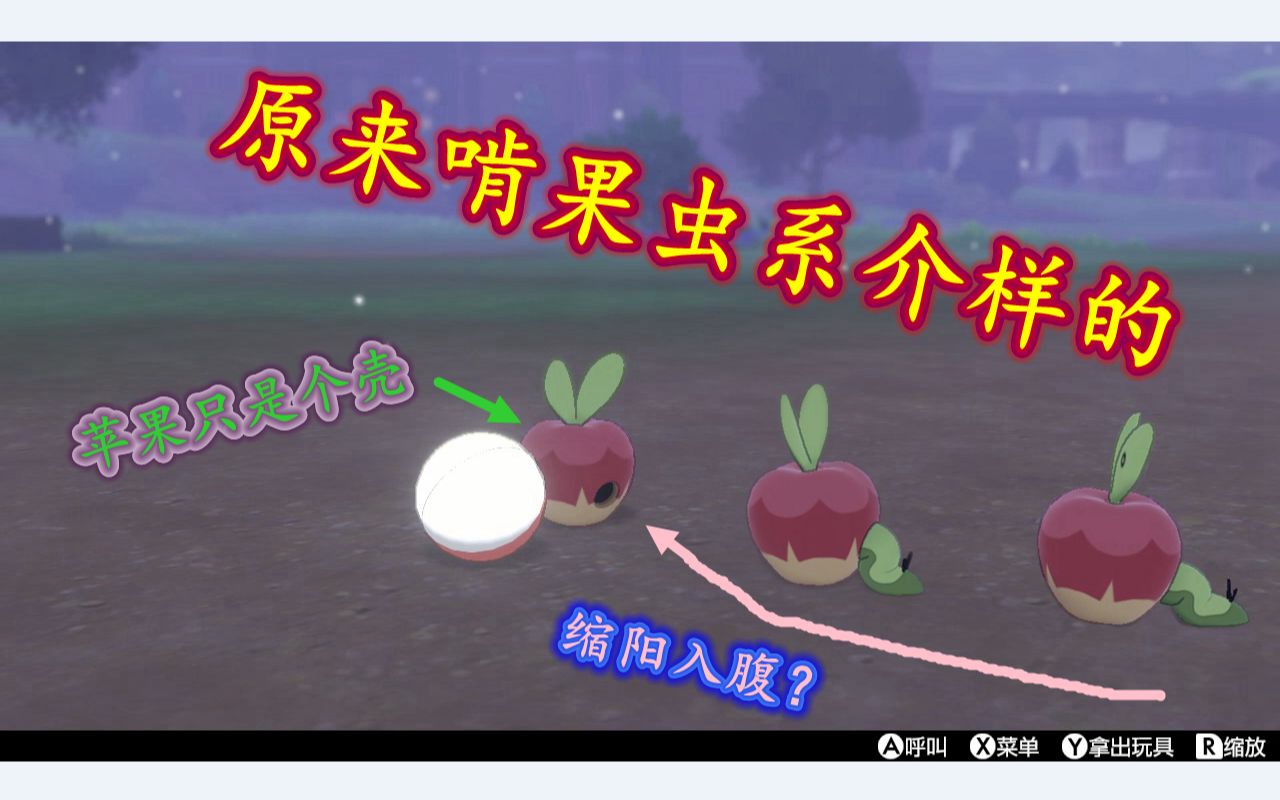 【宝可梦剑盾】原来啃果虫是这样的