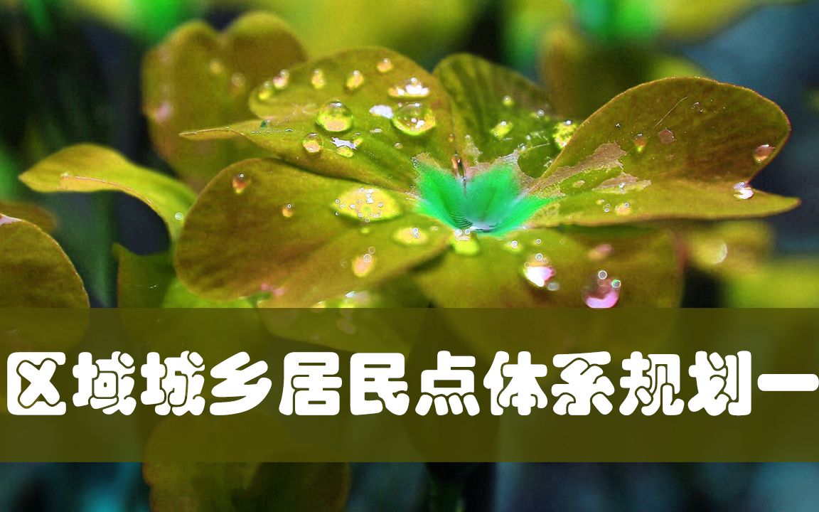 区域城乡居民点体系规划一