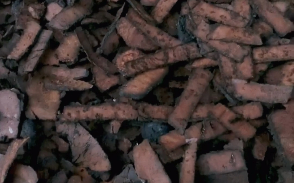 【九制何首乌】历时一个月,终于炮制成功