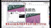 CorelDraw教程 cdr动画 cdrx4 x6自学基础入门教程