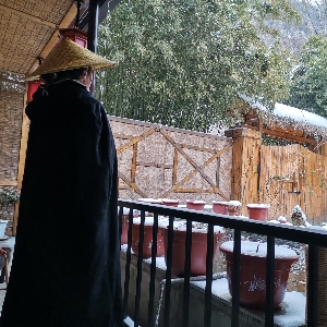 终南山小莉 