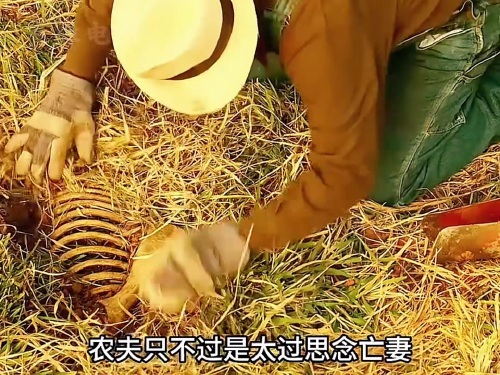 这个稻草人太诡异了看完让人毛骨悚然