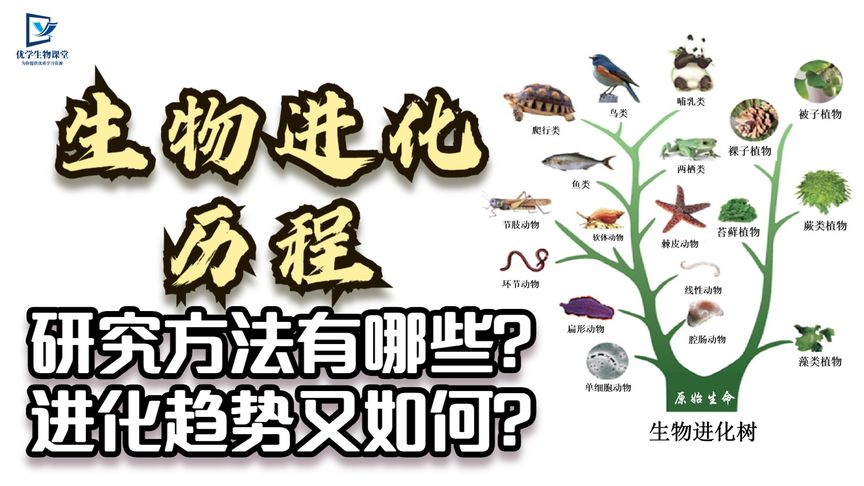 生物进化的历程是怎样的?研究进化的方法有哪些?趋势又如何呢?