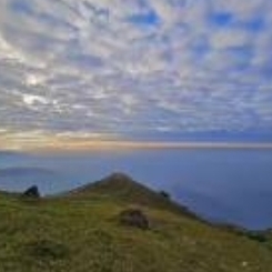 我是农村人优惠券 