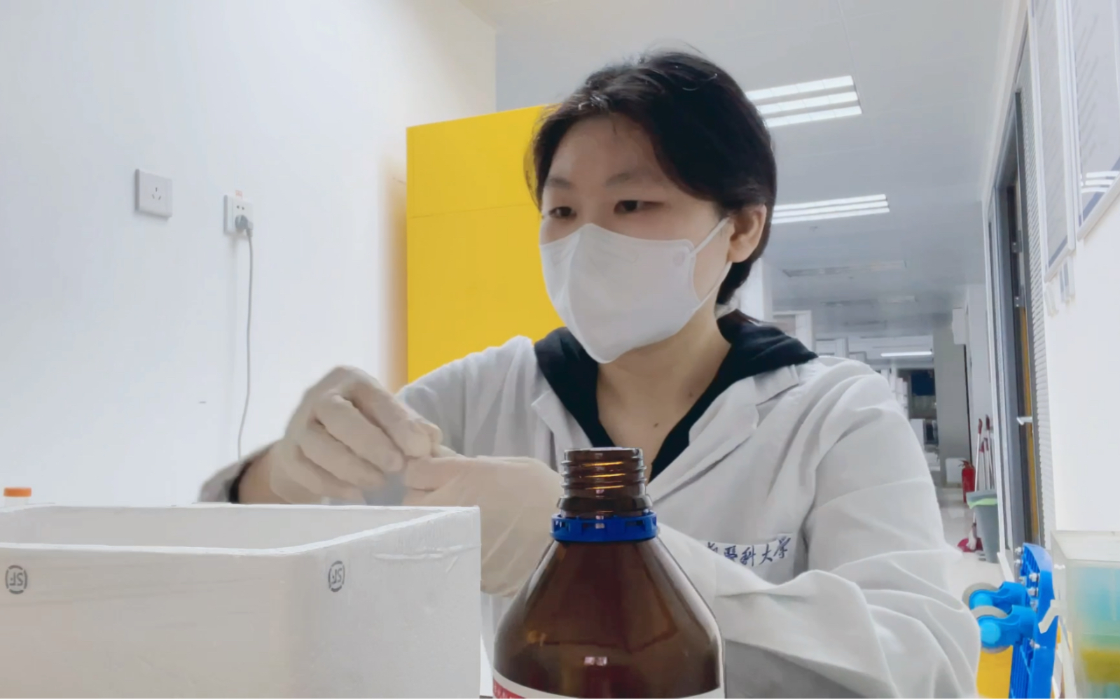 细胞总RNA提取保姆级教程/提RNA测浓度配平逆转录qPCR一条龙/...