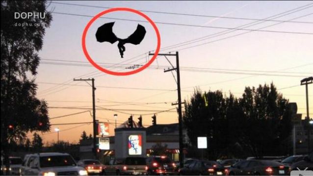 10大骇人不明飞行生物,看着好可怕!