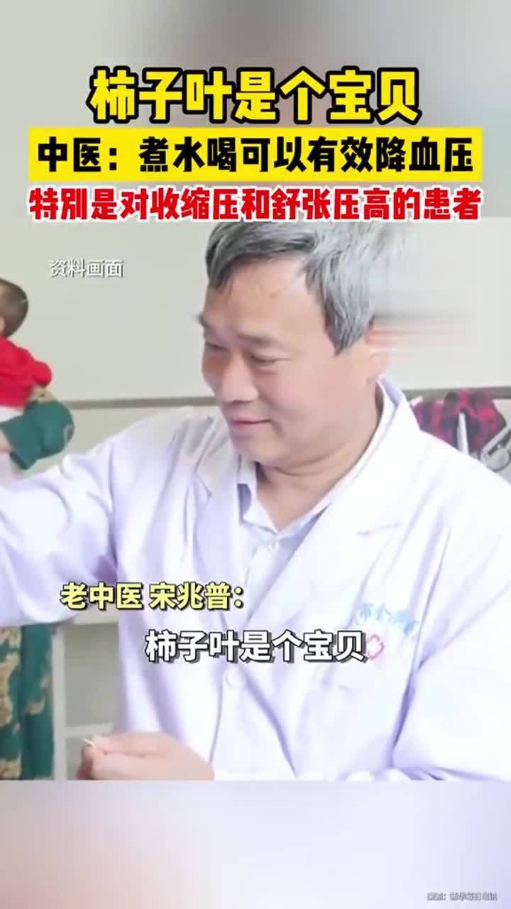 柿子叶煮水喝可以有效降血压,特别是对收缩压和舒张压高的患者