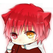 蔷薇园的猫猫猫猫猫 