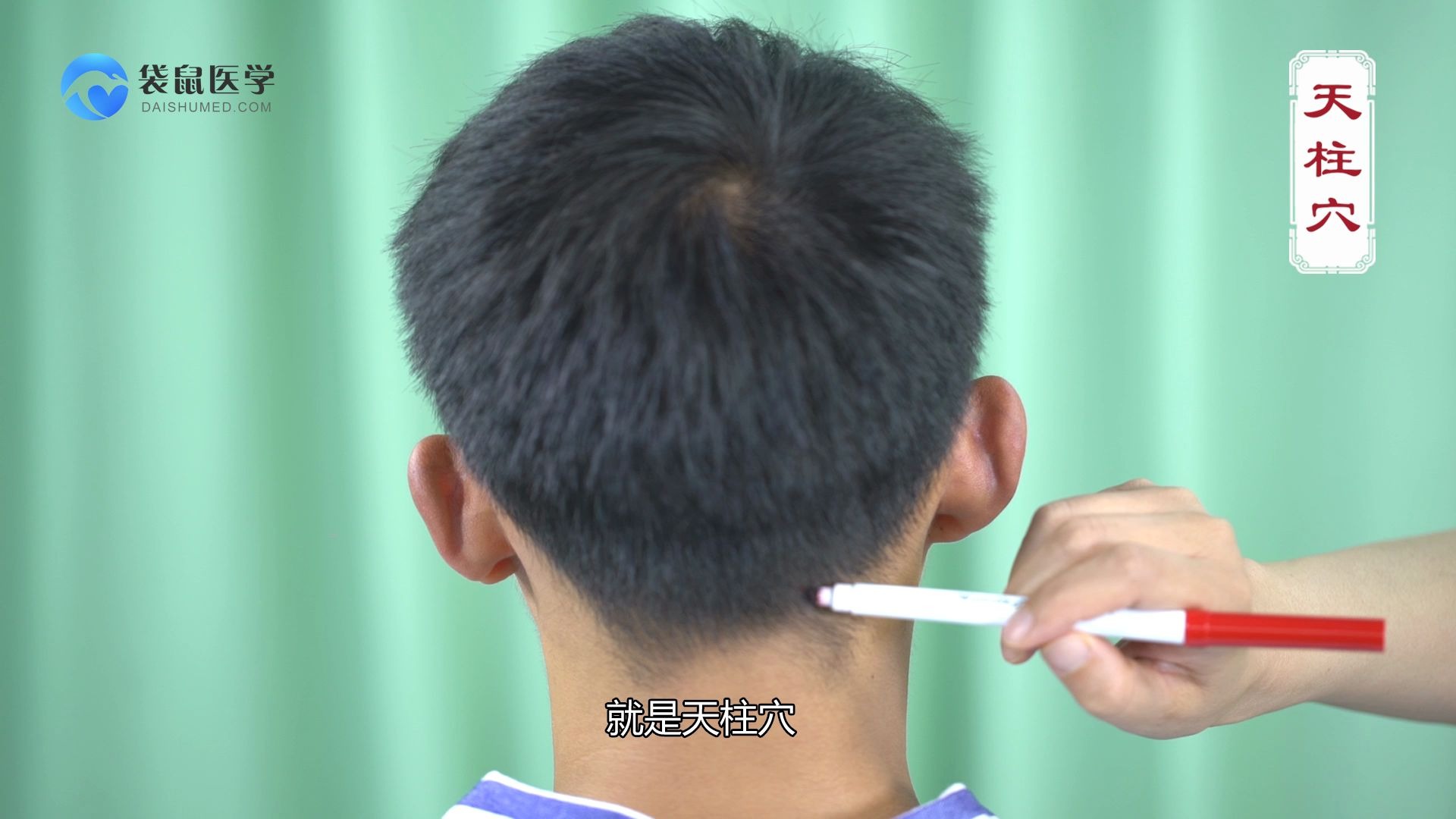 每日一穴——天柱穴