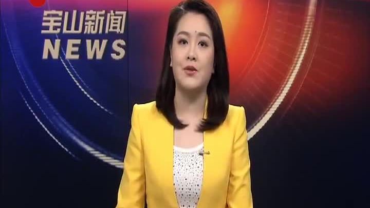 时代荣光 宝山区召开2020年劳模先进表彰大会