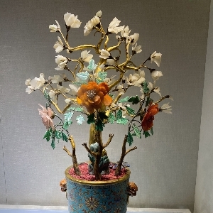潘星河老师 