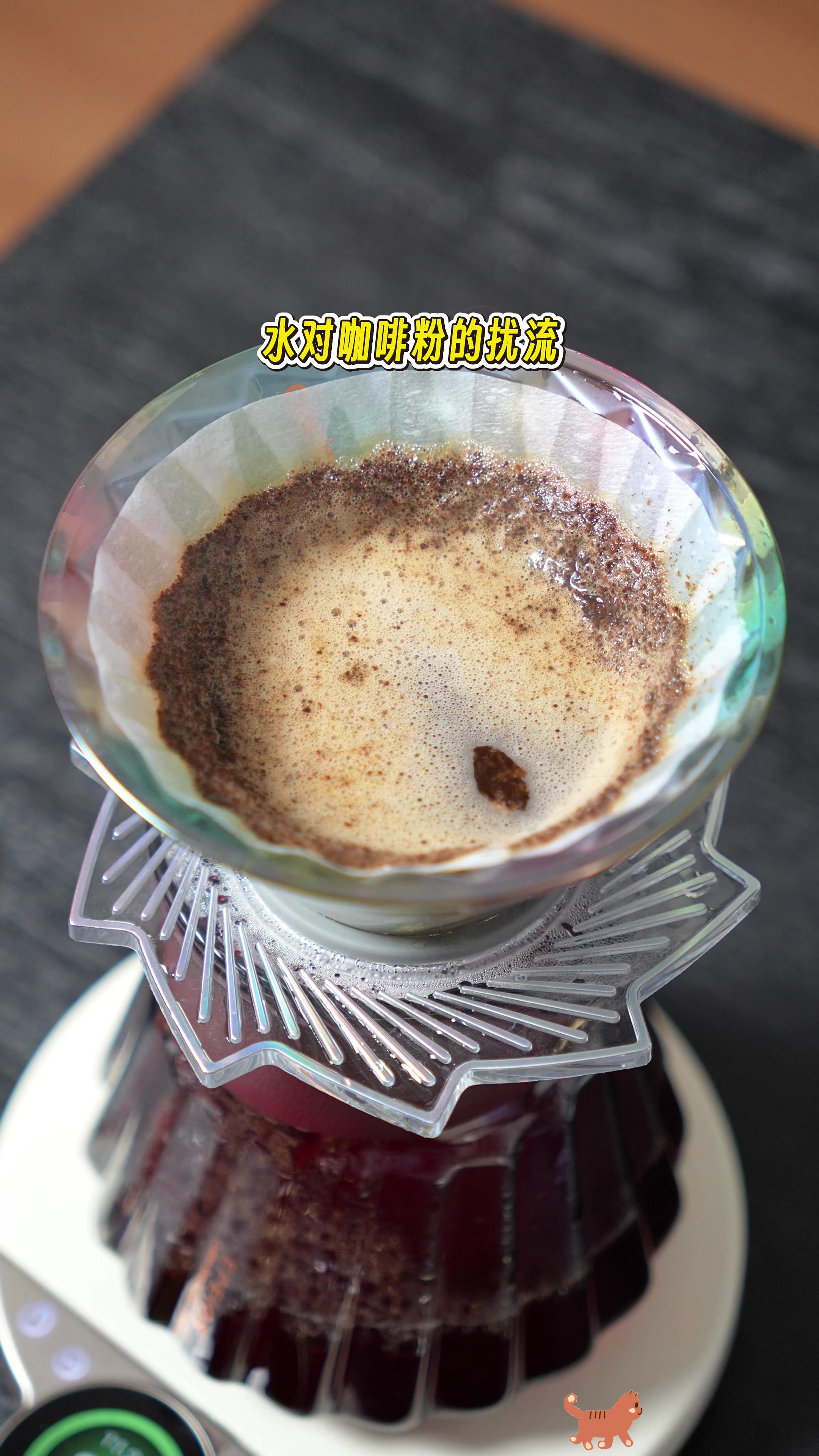 ...水洗豆把温度再调高一点就行粉量:13g-20g(等比例换算水量就好)...