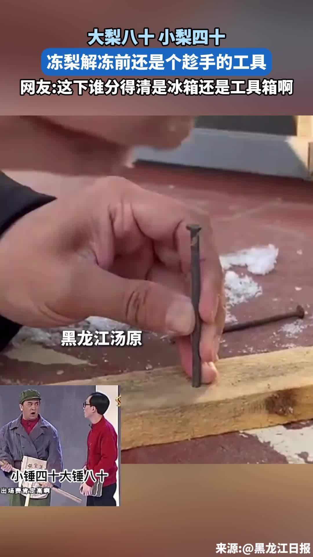 大梨八十 小梨四十,冻梨解冻前还是个趁手的工具
