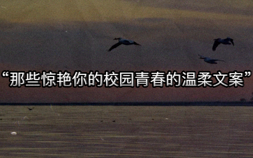 “那些惊艳你的校园青春的温柔文案”