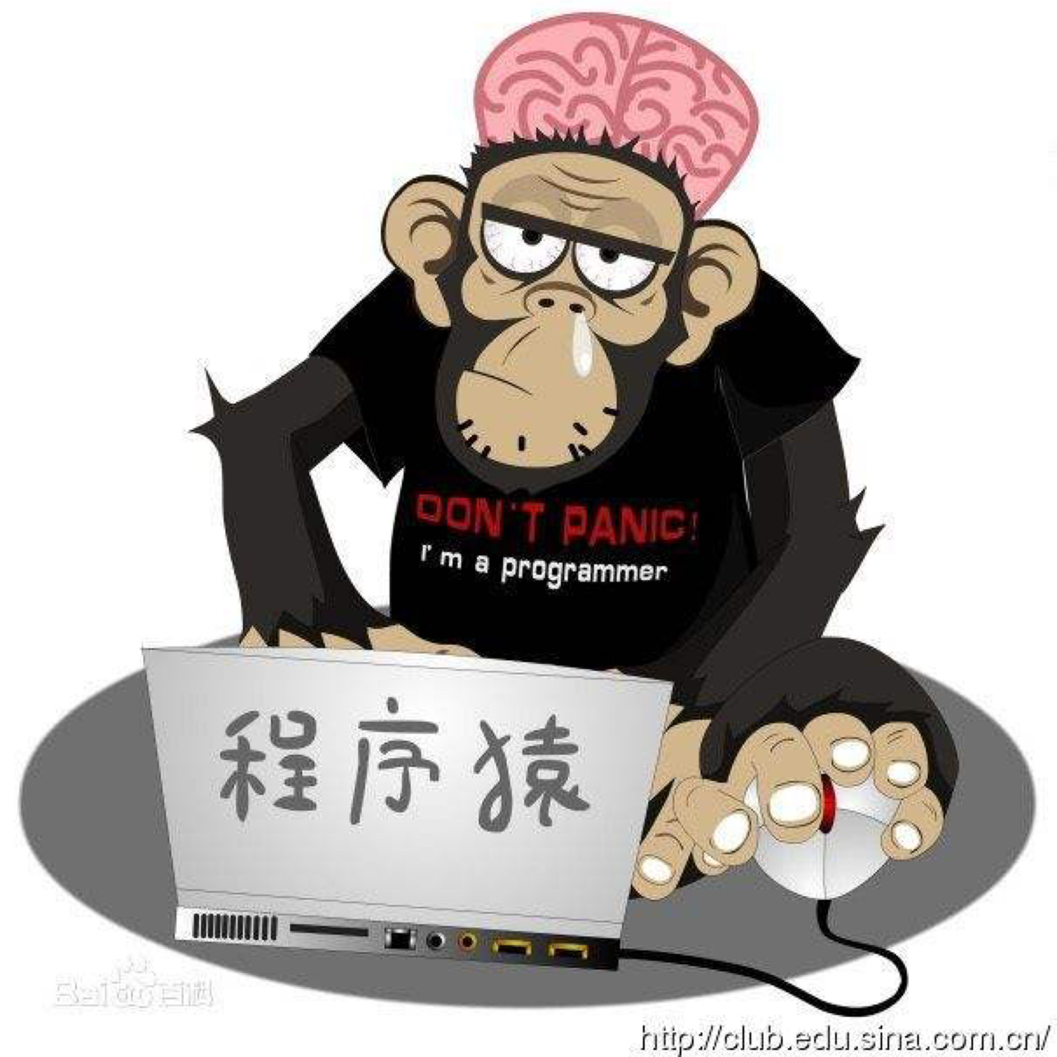 开裆裤程序猿 