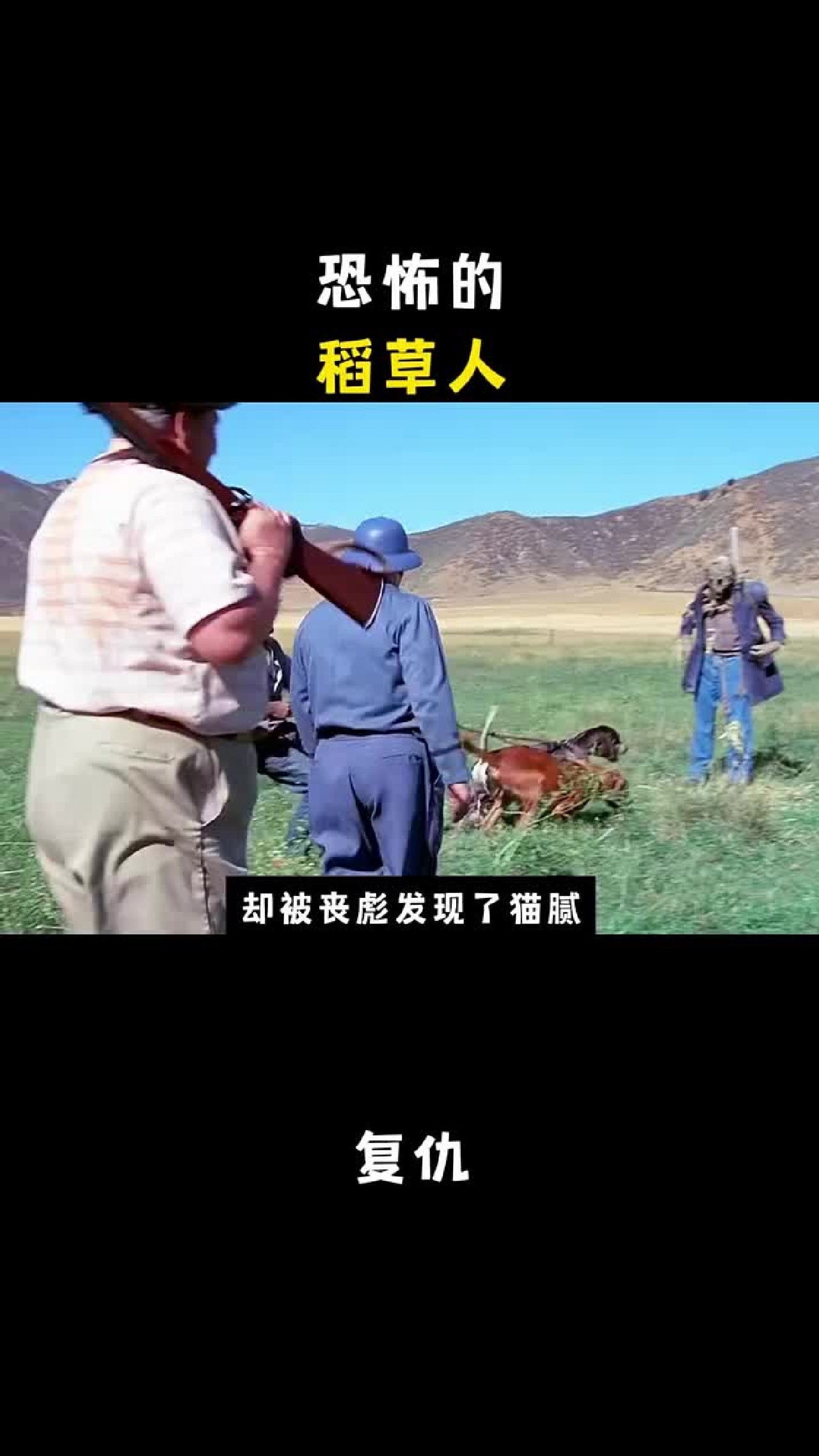 恐怖的稻草人,惊悚影片