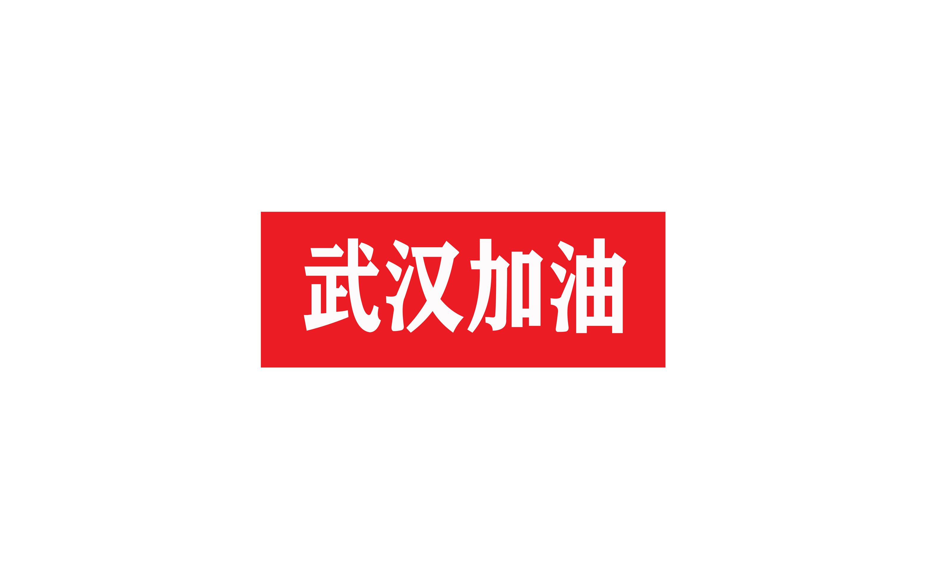 【迟到的武汉抗疫纪实】¹ 我们是武汉的毛细血管| 解放大道三把刀...
