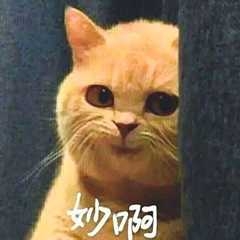 0牧野留姬0 