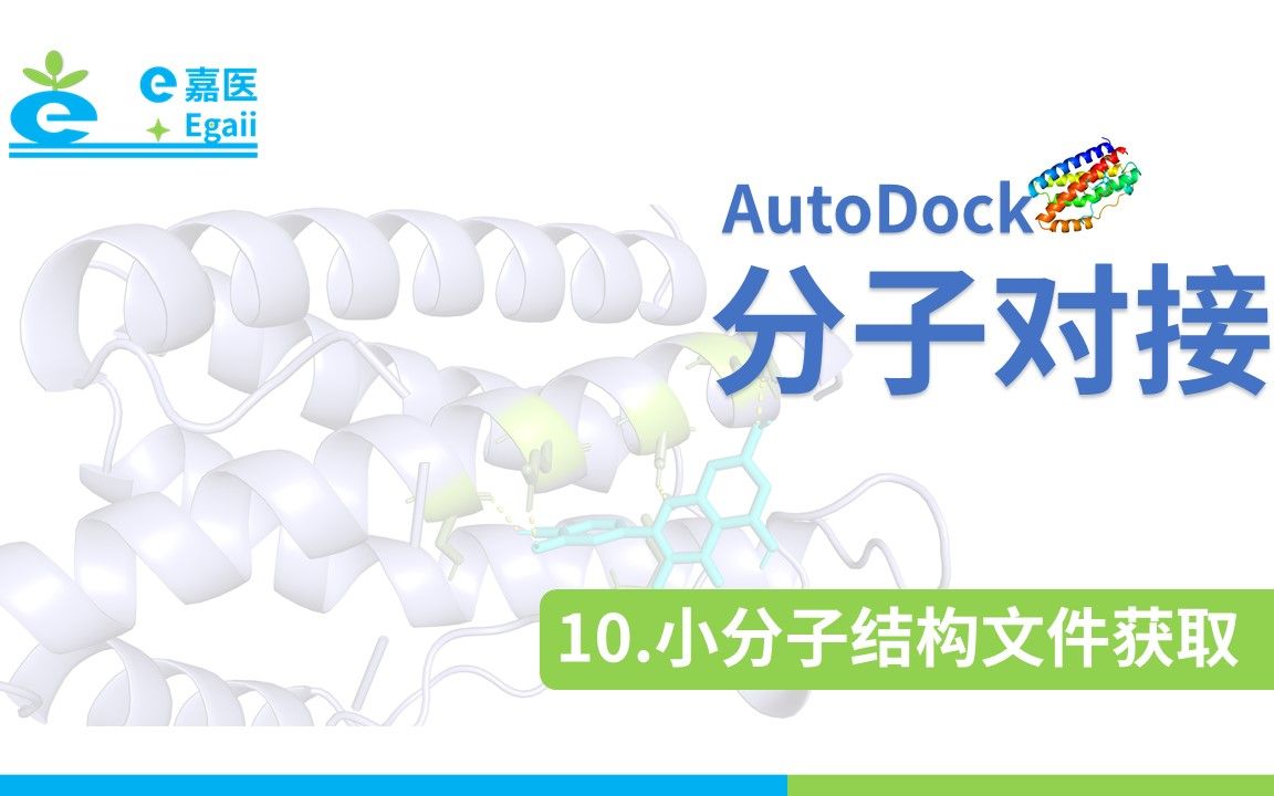 e嘉医 | AutoDock 分子对接:【10】小分子结构文件的获取