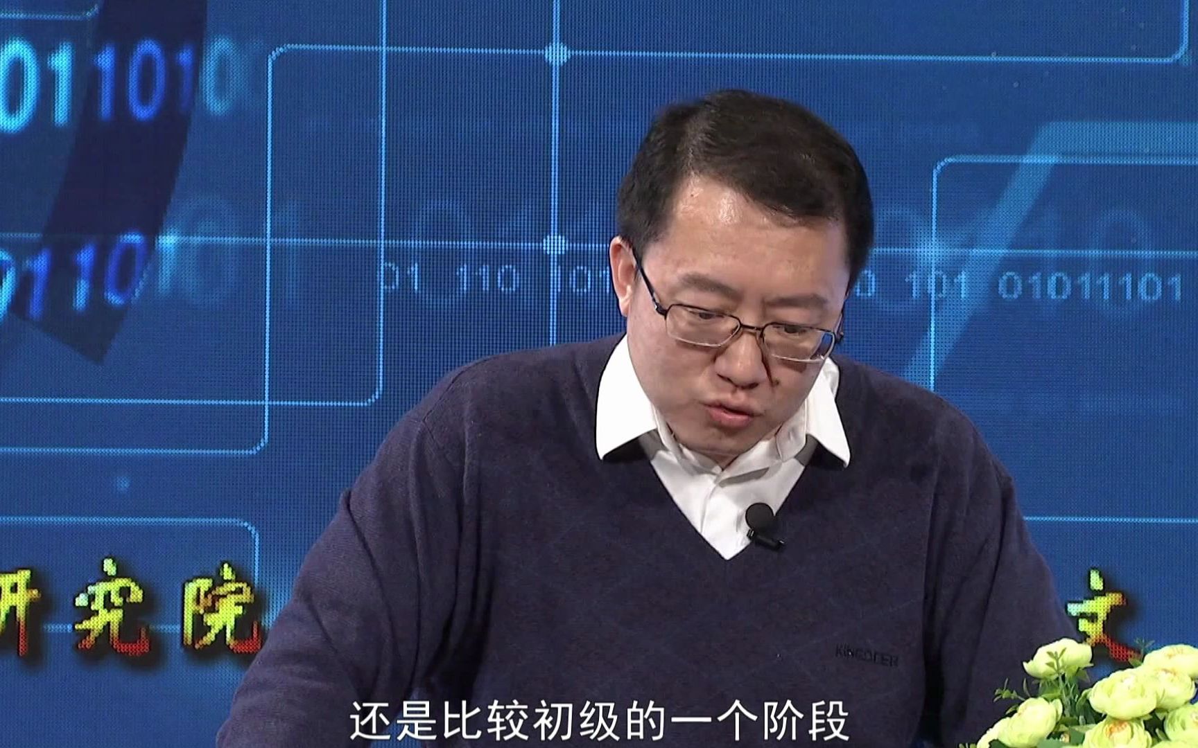 潘文:我国大数据应用发展情况