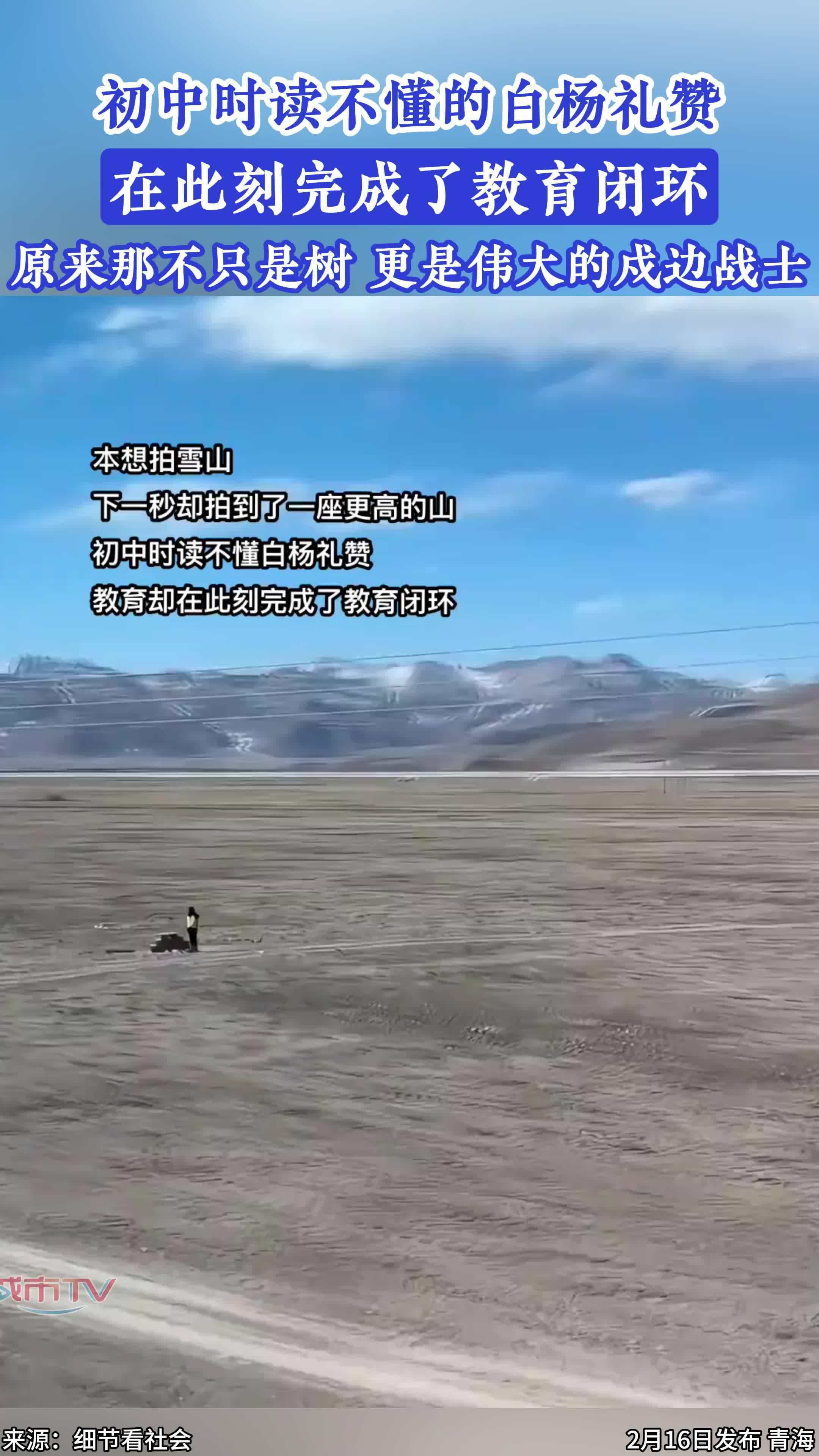 初中时读不懂的白杨礼赞,却在此刻完成了教育闭环!