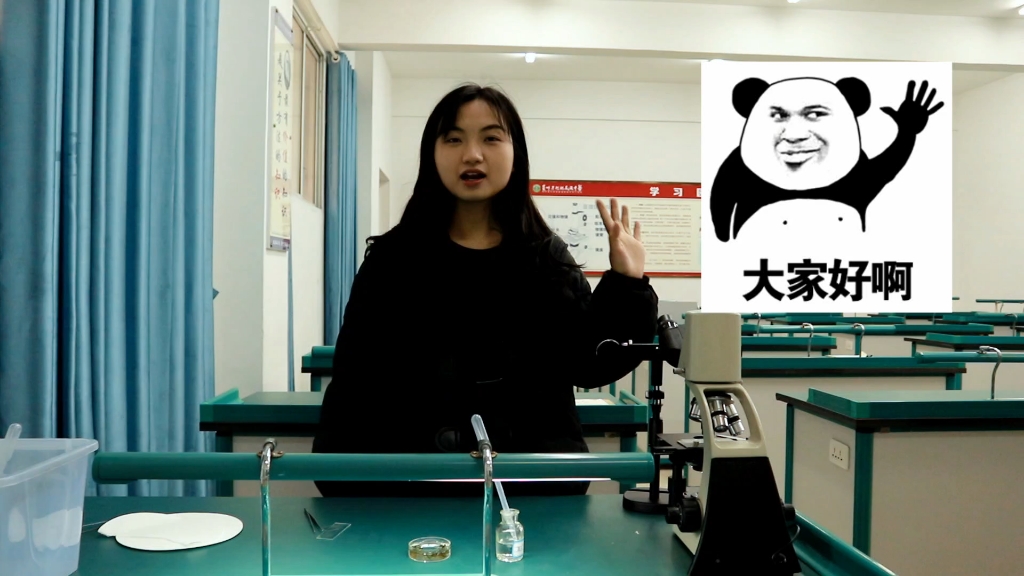 高中生物实验:用高倍显微镜观察叶绿体和细胞质的流动