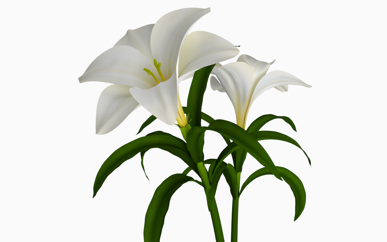 rizomuv教程植物花展UV及绘制贴图C4Duv课程