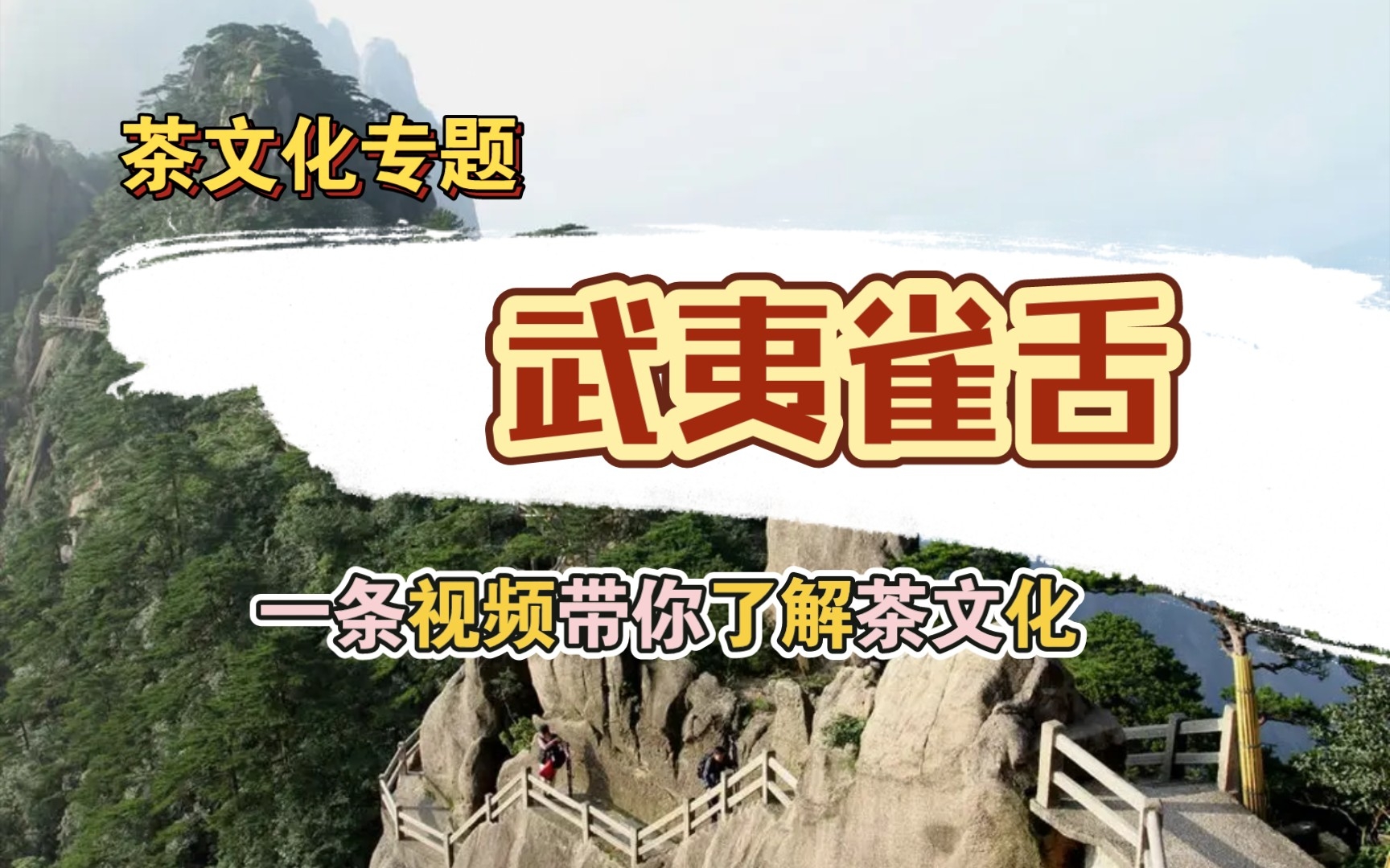 〔茶文化〕武夷山所产的雀舌,是岩茶的一个品种!