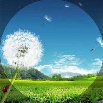 科迪造价学堂 