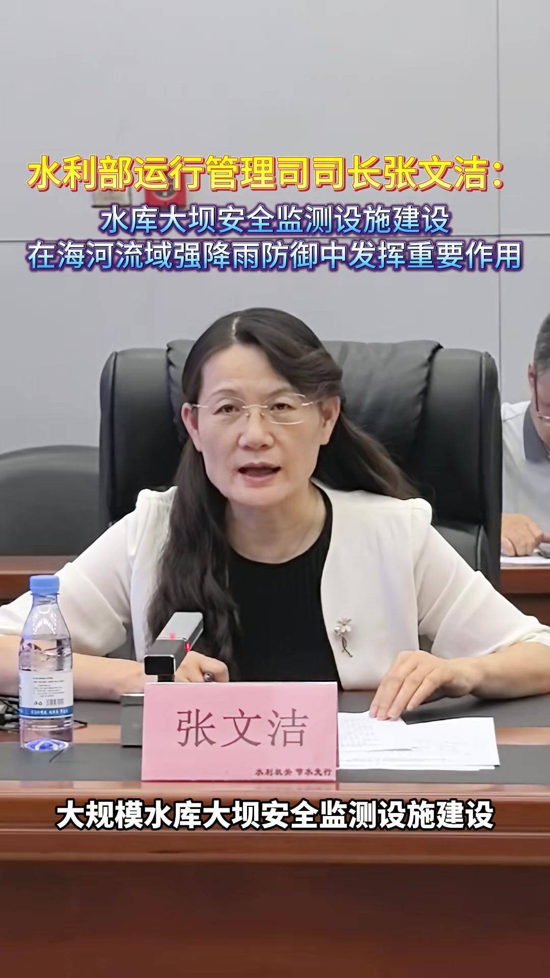 水利部运行管理司司长张文洁:水库大坝安全监测设施建设在海河流域...