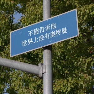 一只小美女 