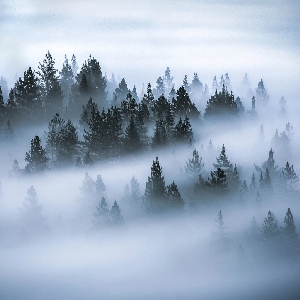 走向静默如你本来 