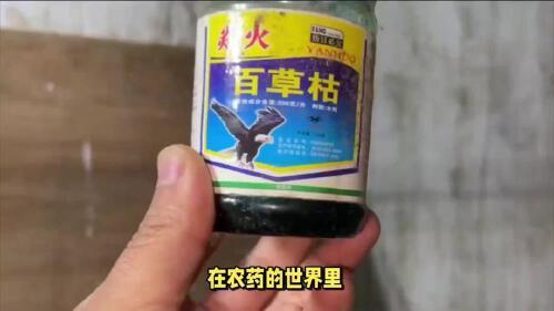 敌敌畏与百草枯毒性对比,海参还能吃吗?