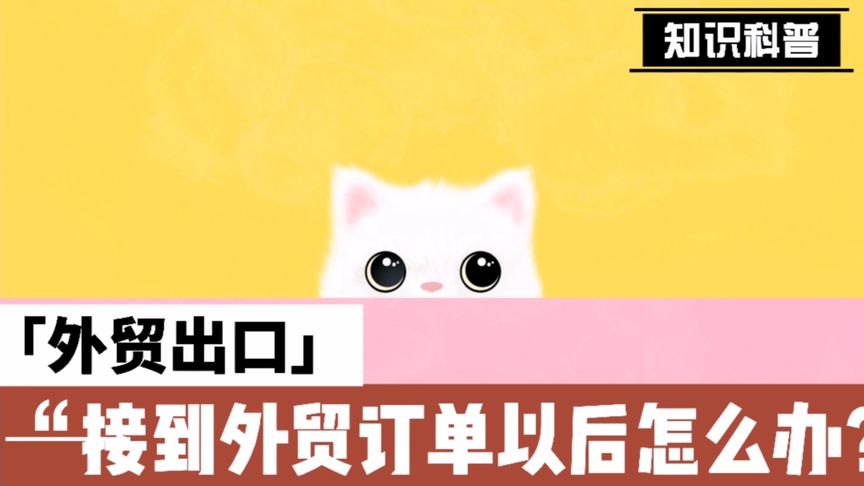 外贸新手/外贸创业/外贸SOHO接到外贸订单以后怎么办?