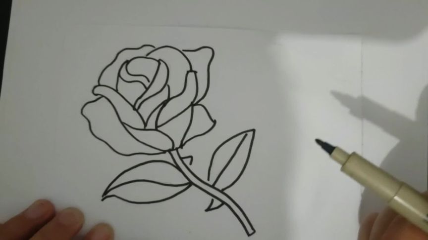 漂亮的玫瑰花简笔画,简单易学