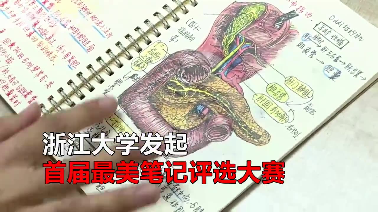 看完这些笔记本 终于明白和学霸的差距有多大了!