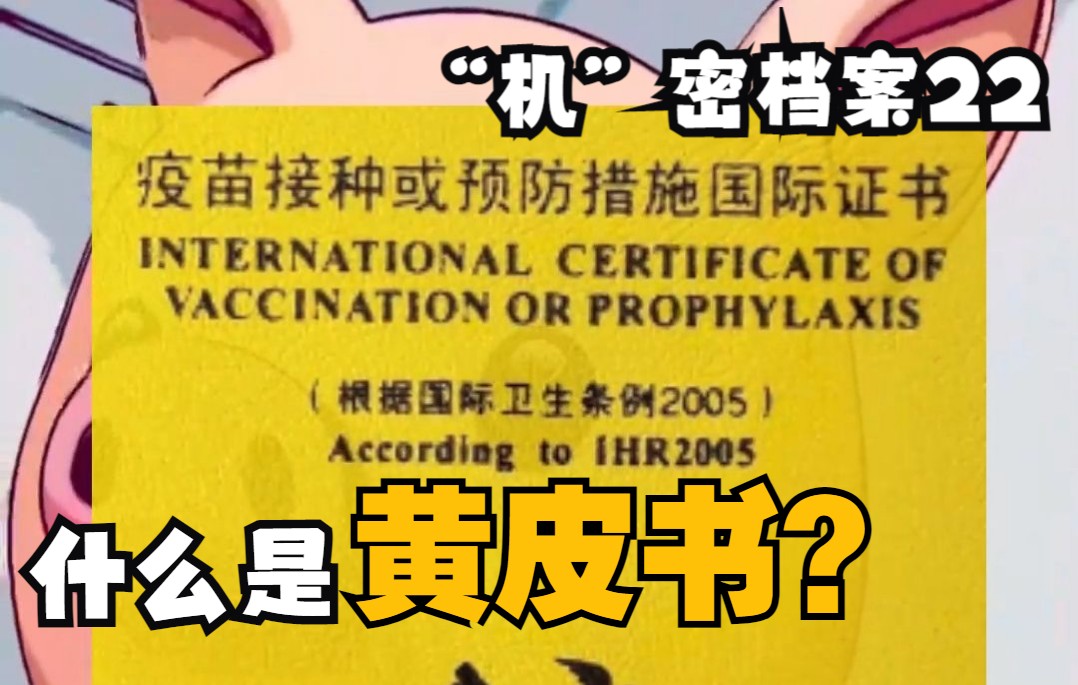 什么是“黄皮书”?|【皮格教你坐飞机|民航知识科普】机密档案第22期