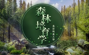 【北京林业大学】森林培育学
