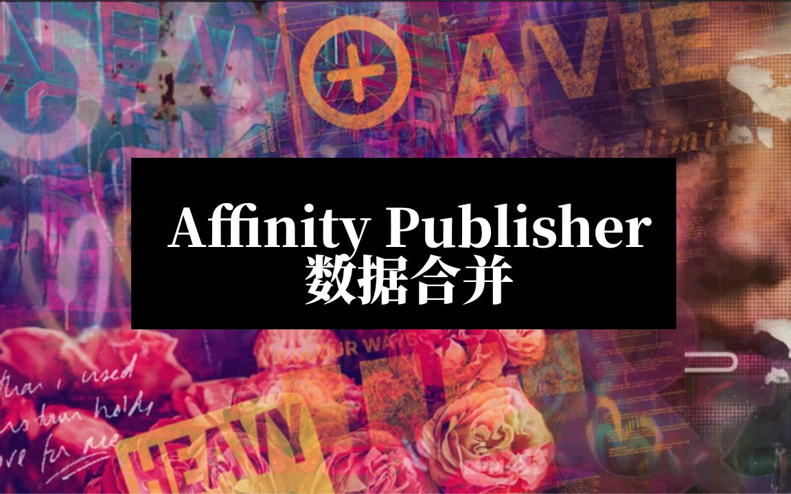 Affinity Publisher的数据合并