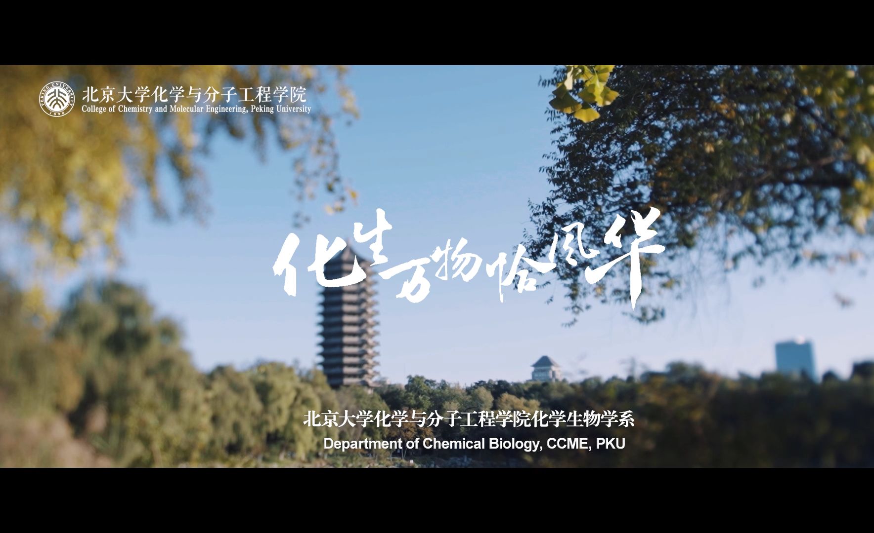 北大化生系是怎么成立的|北京大学化学与分子工程学院化学生物学系...