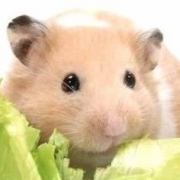 咸鱼蛋定 