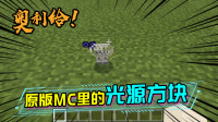 我的世界之奥力给讲冷知识 第423集 你知道MC里的光源方块吗?结构...