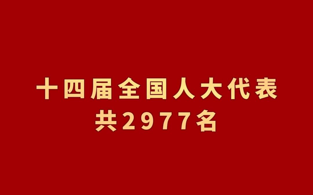十四届全国人大代表共2977名