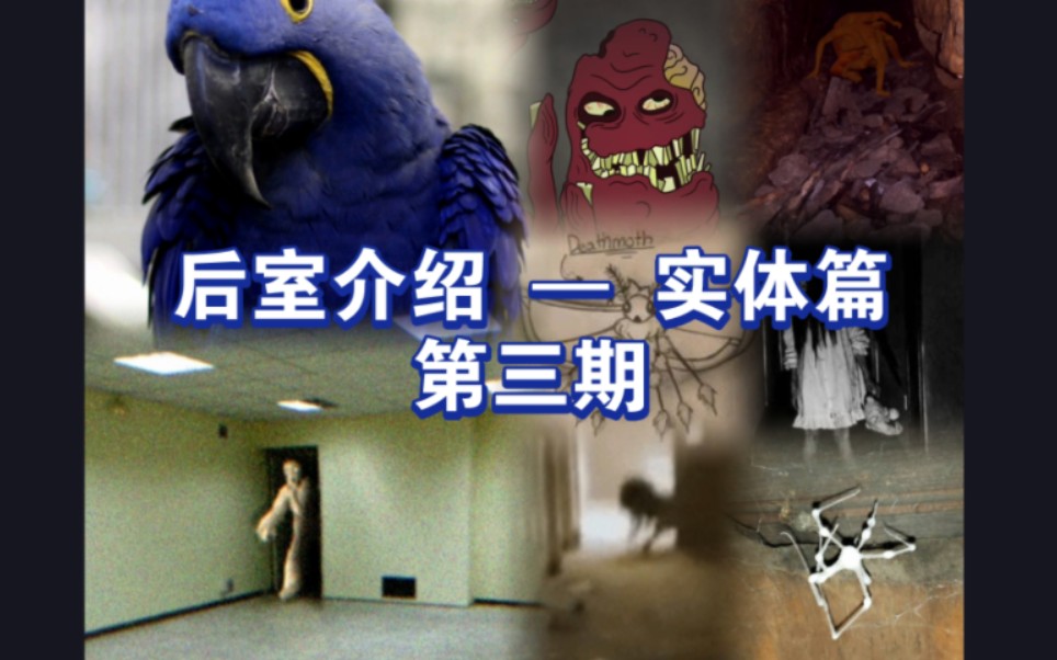 后室backrooms介绍 实体篇第三期