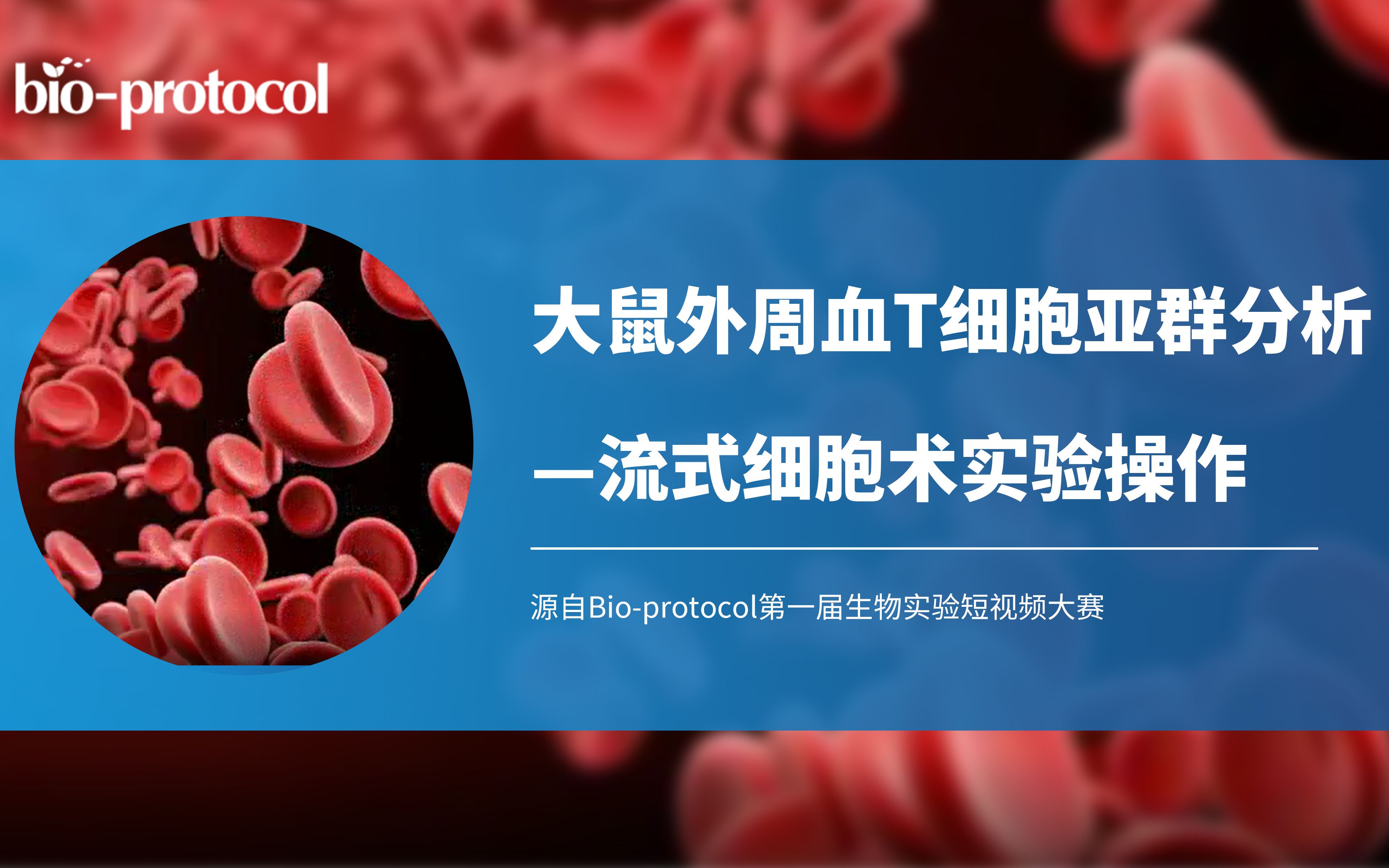【Bio-protocol】大鼠外周血T细胞亚群分析—流式细胞术实验操作