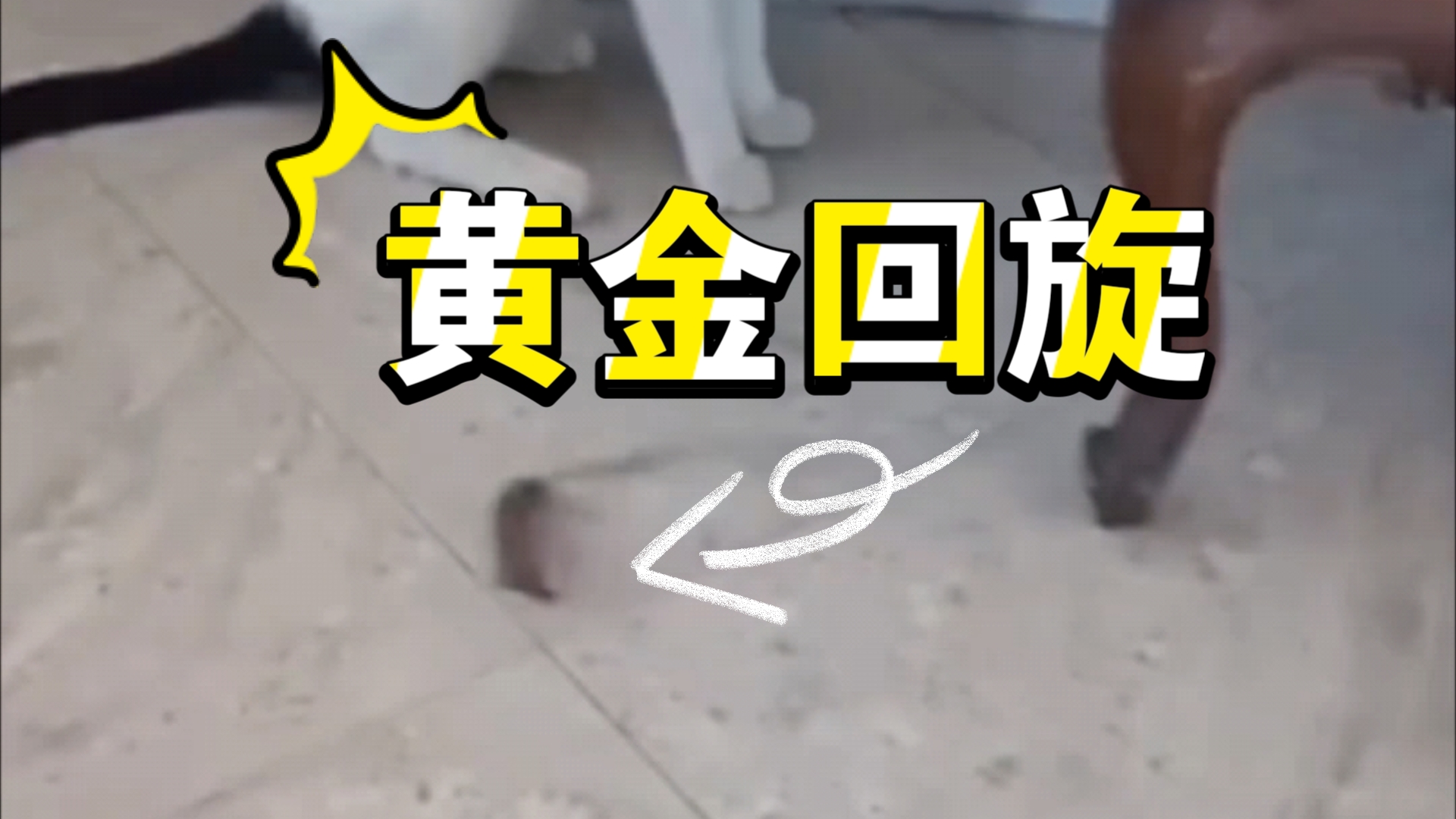 这就是⚡完美的黄金回旋⚡