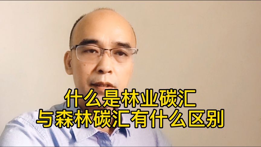什么是林业碳汇,两分钟带你了解林业碳汇如何交易,如何获利