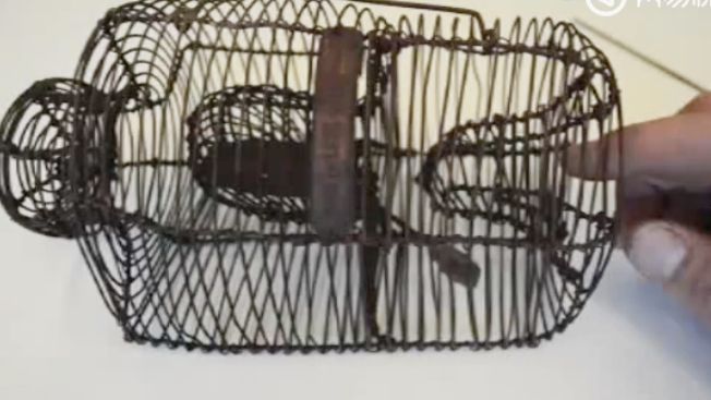 外国人1883年的古董捕鼠笼,仅靠着电线纯手工制作,绿色环保
